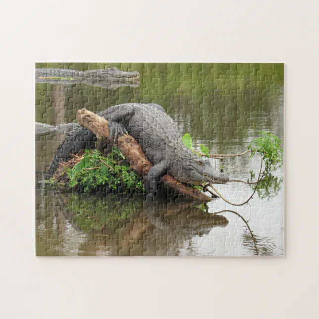Comfy Cozy Gator Puzzle | Zazzle