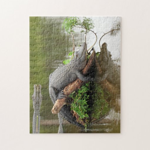 Comfy Cozy Gator Puzzle | Zazzle
