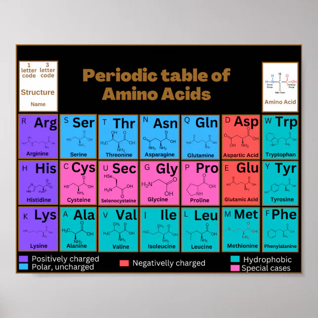 Common amino acids in periodic table style poster | Zazzle