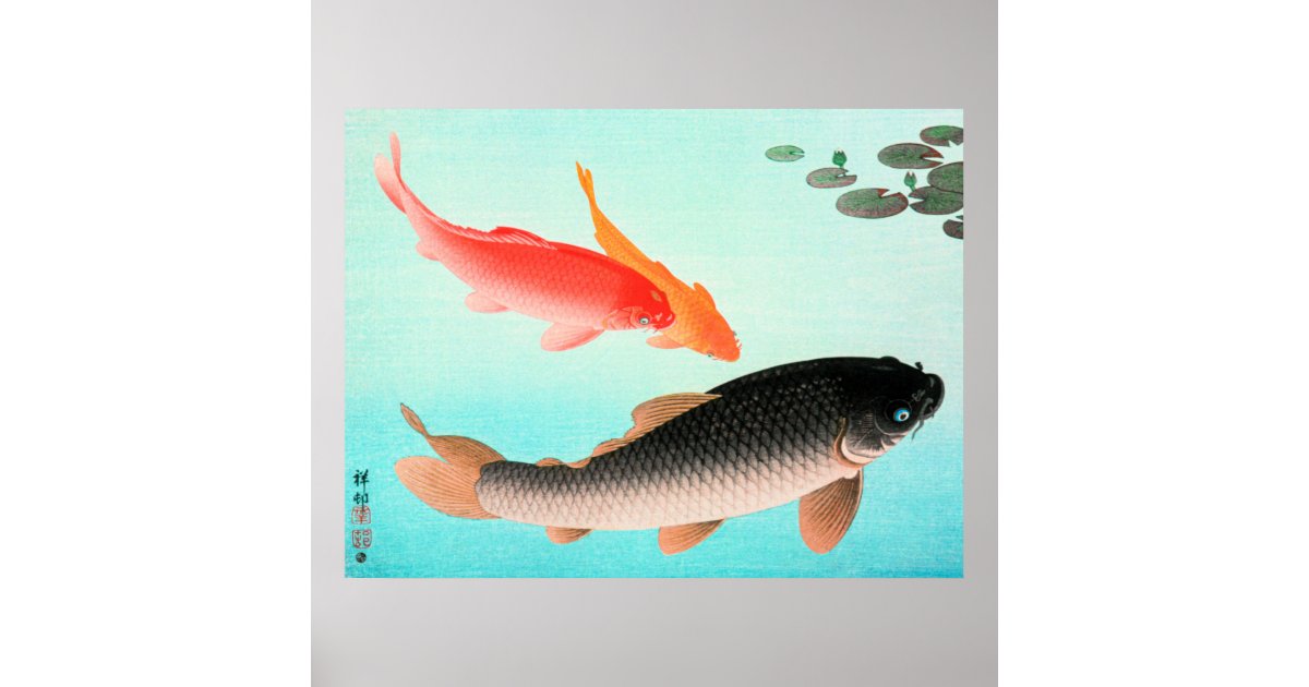 Common and Golden Carp Poster | Zazzle