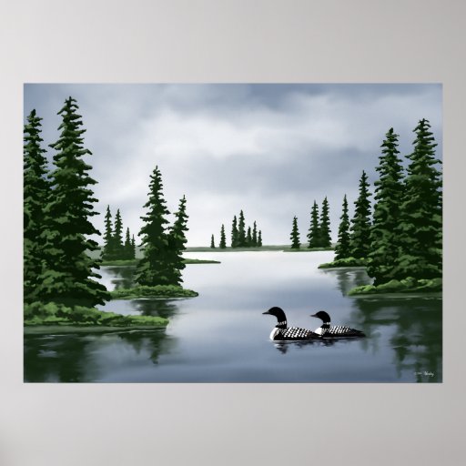 Common Loon Art Prints | Zazzle