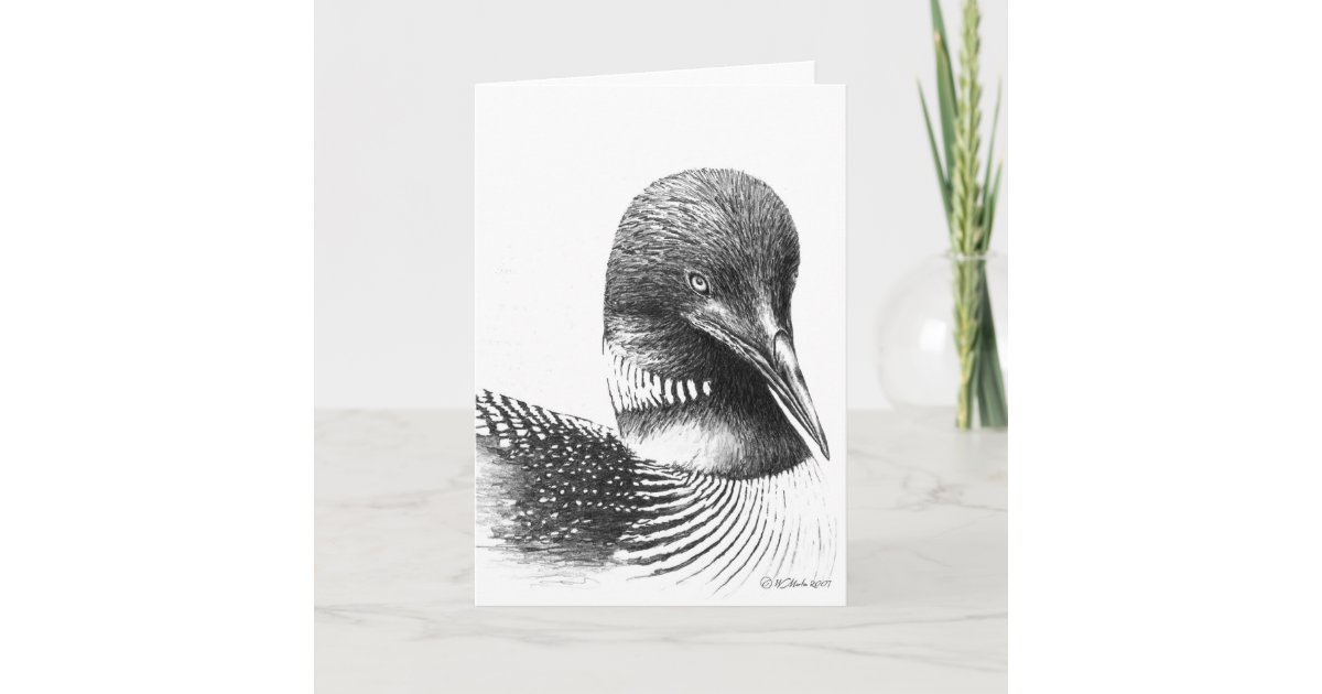 Common Loon Illustration Blank Greeting Card | Zazzle