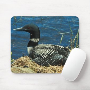Common Loon Mouse Pad | Zazzle
