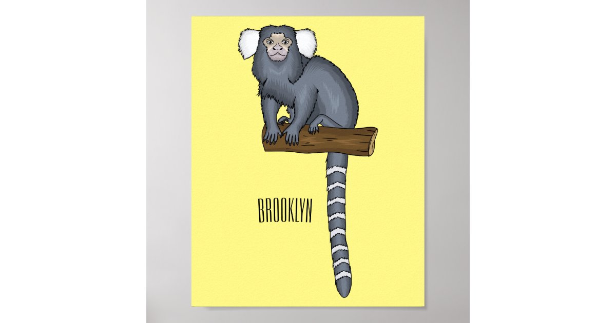 Common marmoset cartoon illustration poster | Zazzle