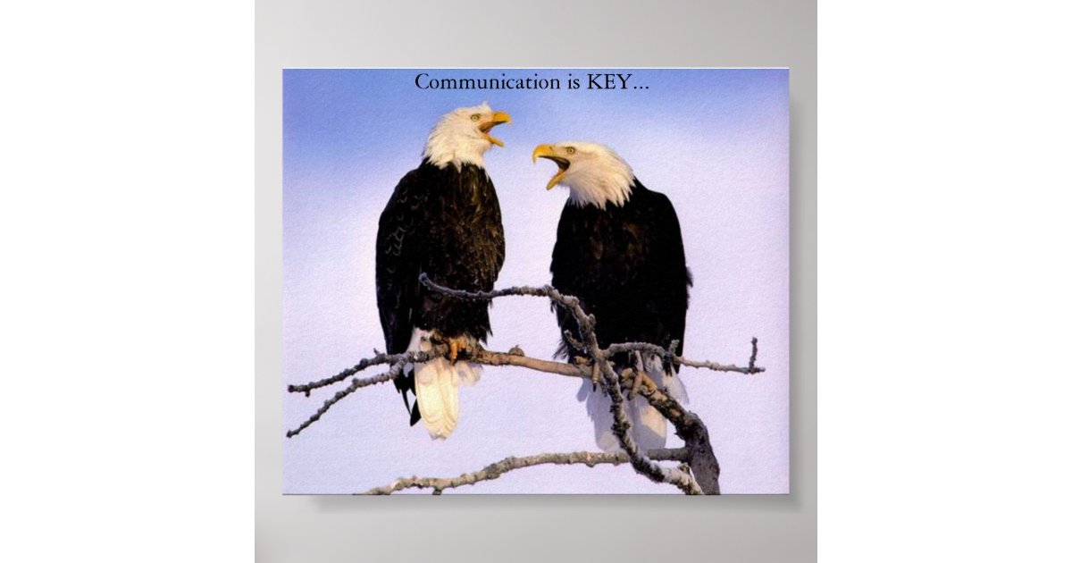 Communication is KEY... Poster | Zazzle