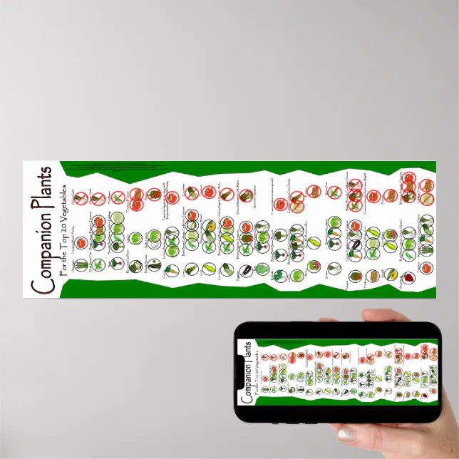 Companion Plants Poster: The Top 20 Garden Plants Poster | Zazzle