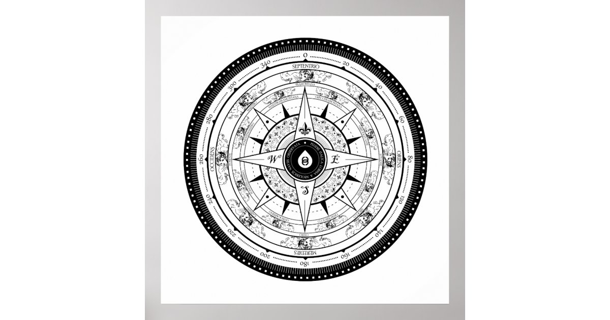 Compass Rose - Poster (White) | Zazzle