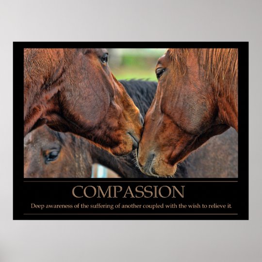 Compassion Poster | Zazzle.com