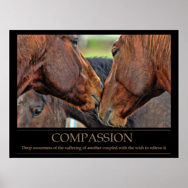 Compassion Poster | Zazzle