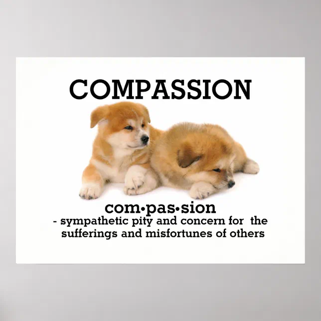 COMPASSION - Vocabulary Poster | Zazzle
