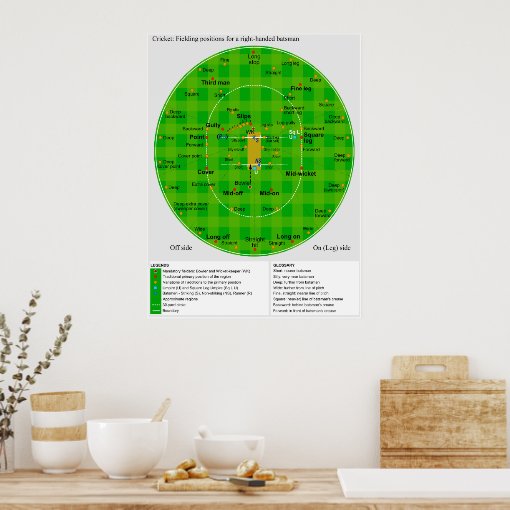 Complete Diagram of Cricket Fielding Positions Poster | Zazzle