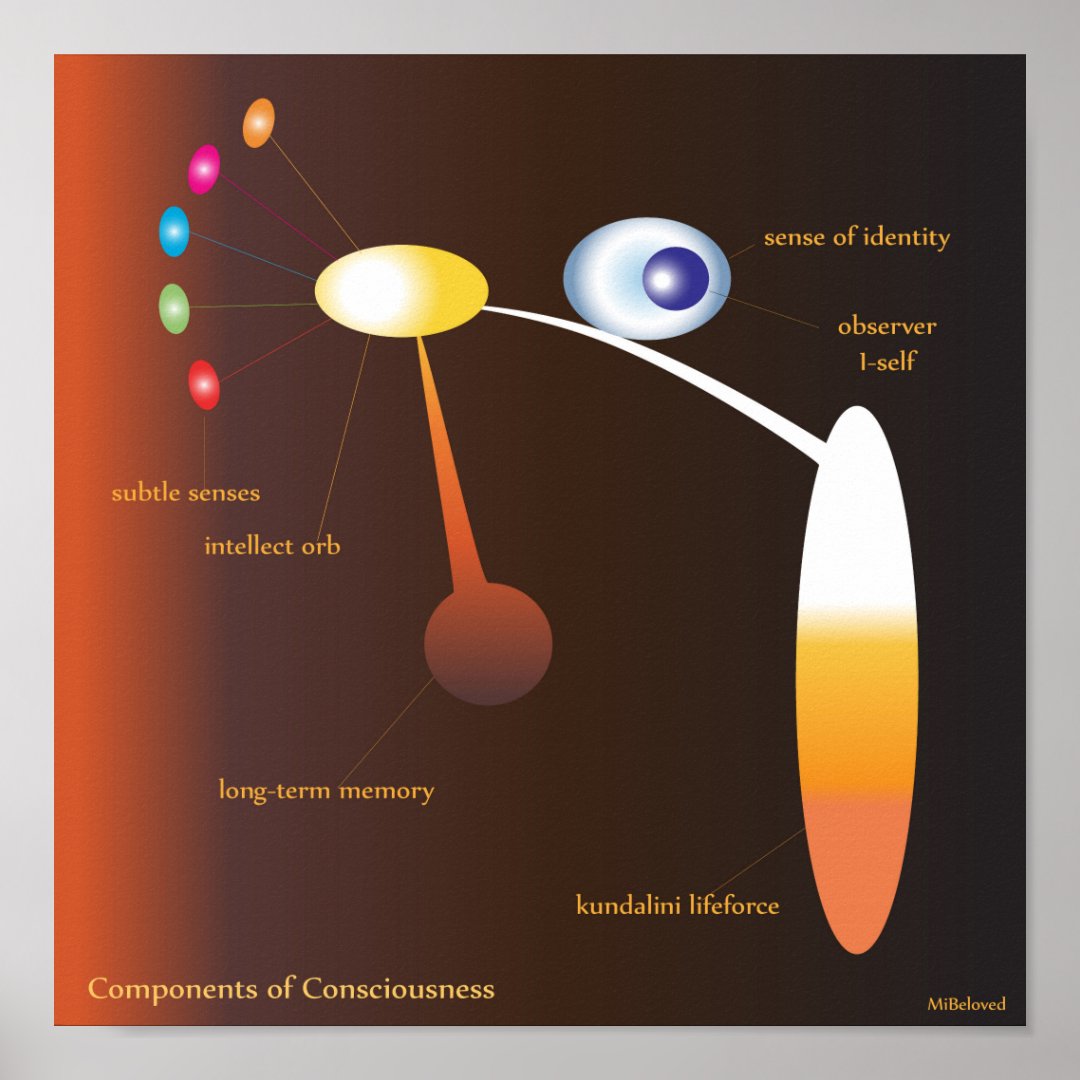 Components of Consciousness Poster | Zazzle
