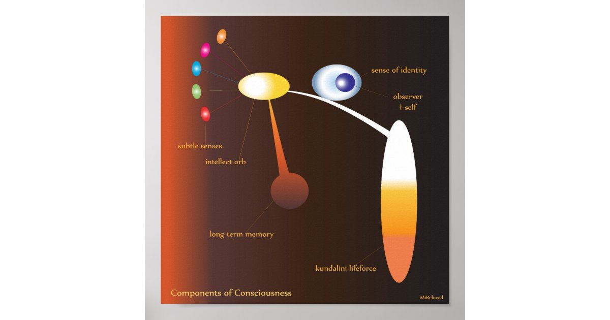 Components of Consciousness Poster | Zazzle