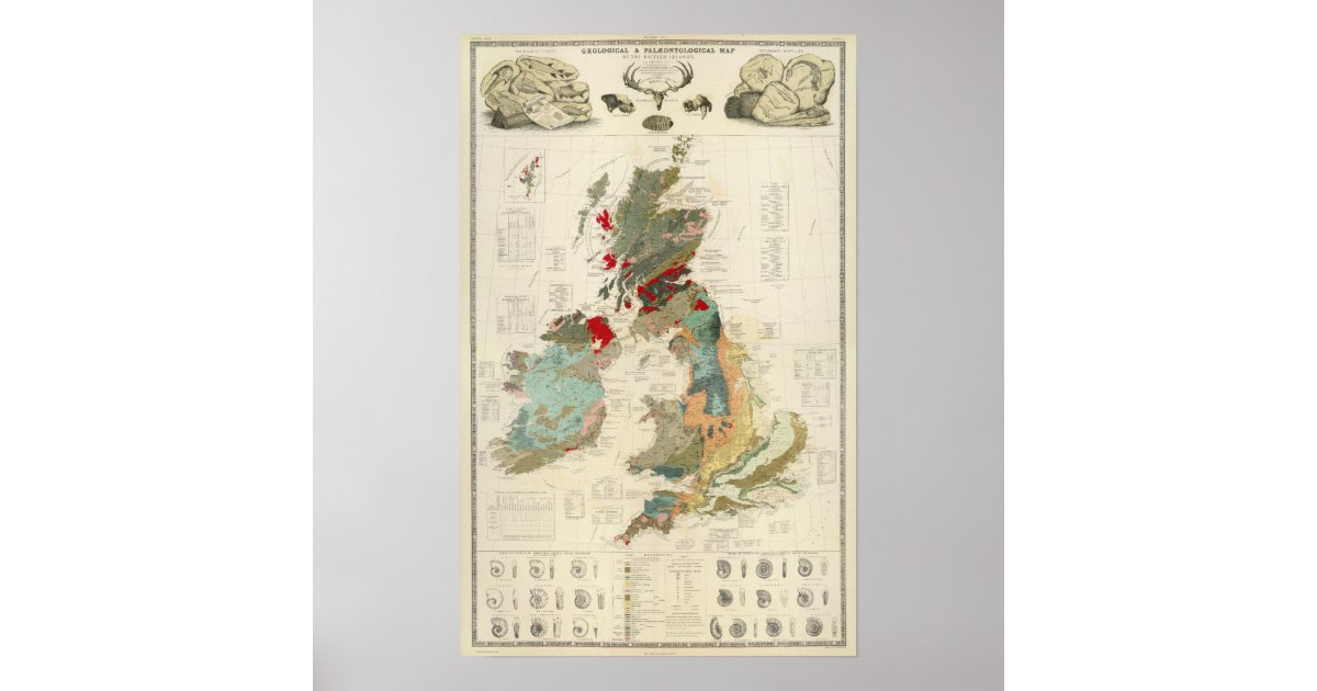 Composite Geological, palaeontological map Poster | Zazzle