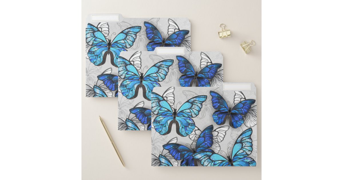 Composition of White and Blue Butterflies File Folder | Zazzle