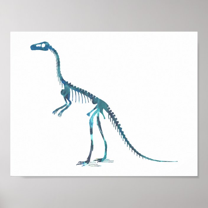 compsognathus skeleton poster | Zazzle.com