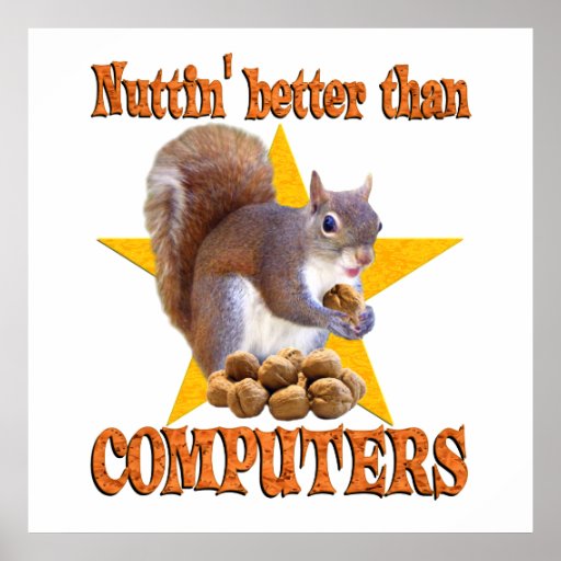 Computer Squirrel Poster | Zazzle