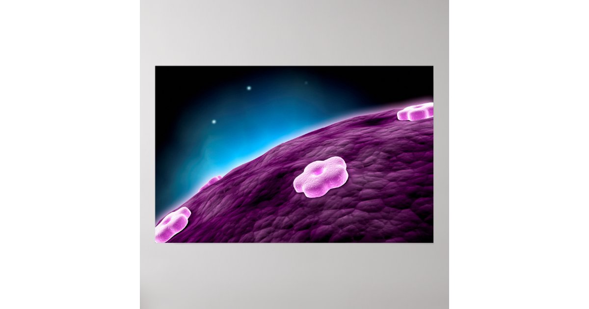 Conceptual Image Of Cell Nucleus Poster | Zazzle
