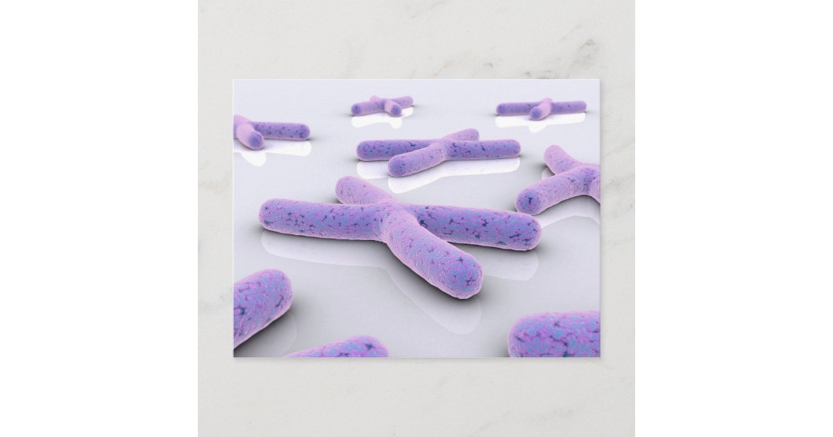 Conceptual Image Of Chromosome 4 Postcard | Zazzle