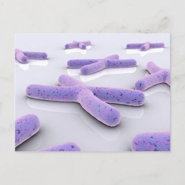 Conceptual Image Of Chromosome 4 Postcard | Zazzle