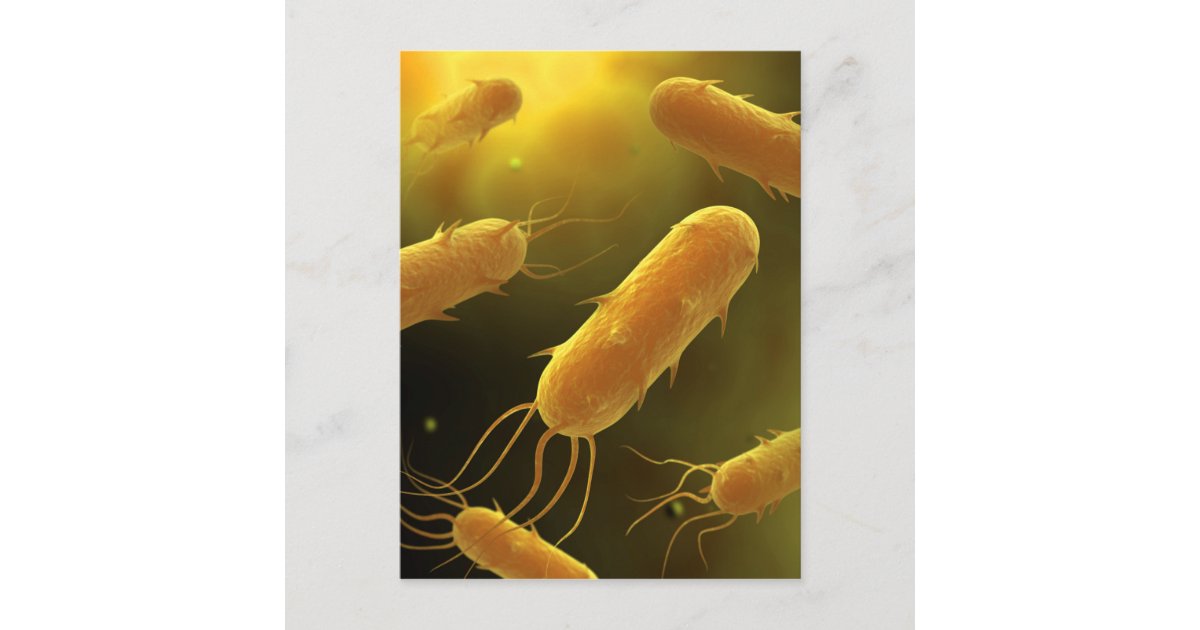 Conceptual Image Of Flagellate Bacterium 3 Postcard | Zazzle