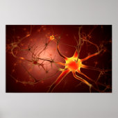 Conceptual Image Of Neuron 1 Poster | Zazzle