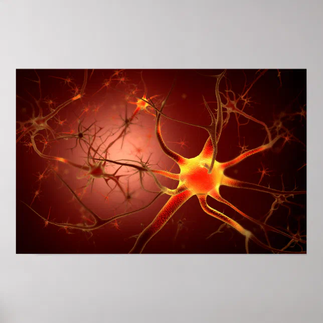 Conceptual Image Of Neuron 1 Poster | Zazzle