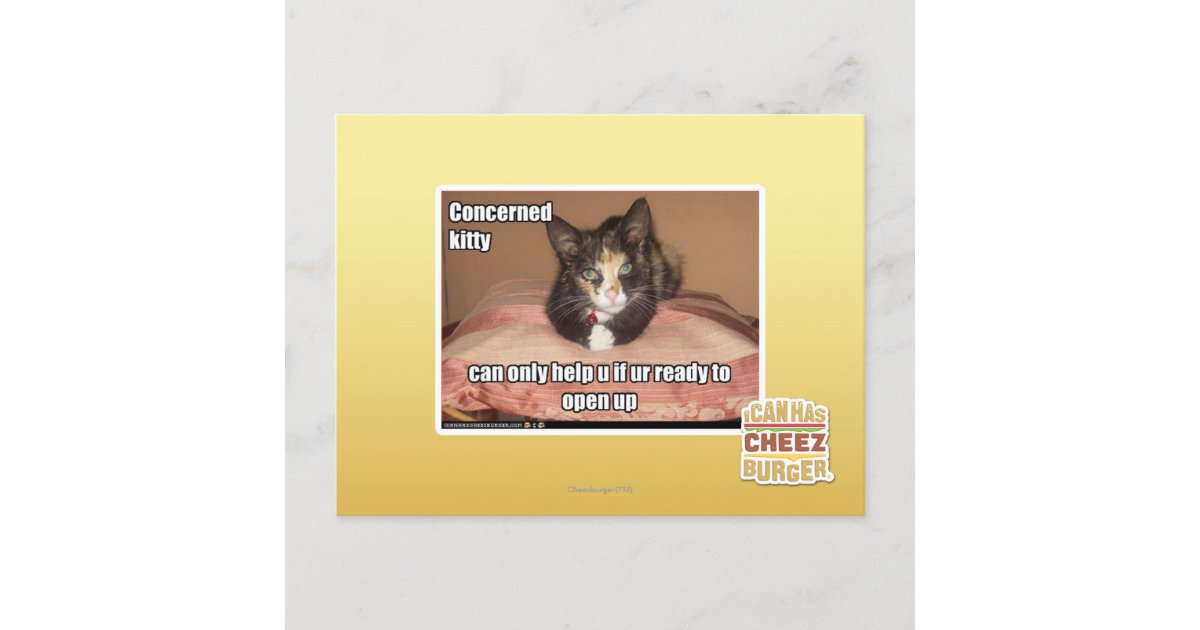 Concerned Kitty Postcard | Zazzle