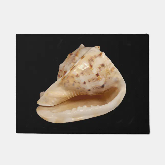 Conch Shell Door Mat | Zazzle