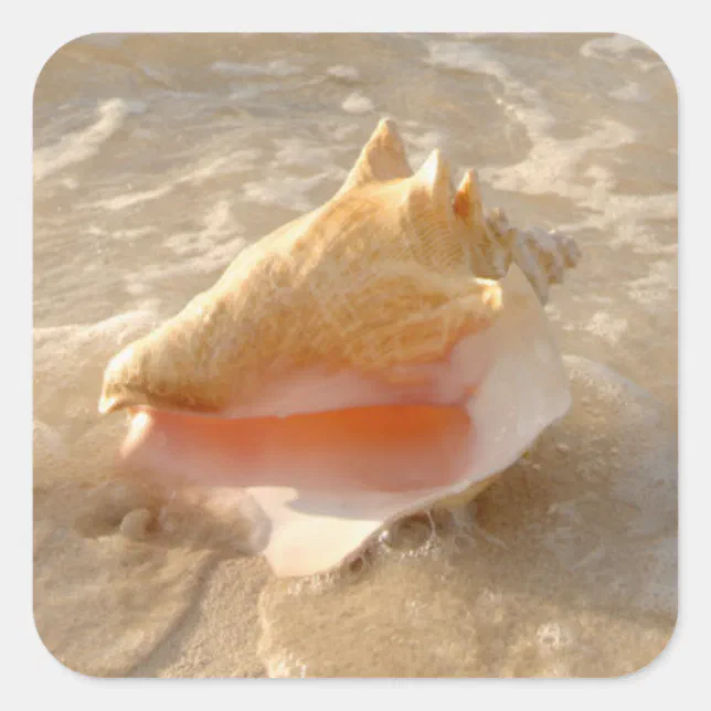 Conch Shell In Sand On Tropical Beach Square Sticker | Zazzle