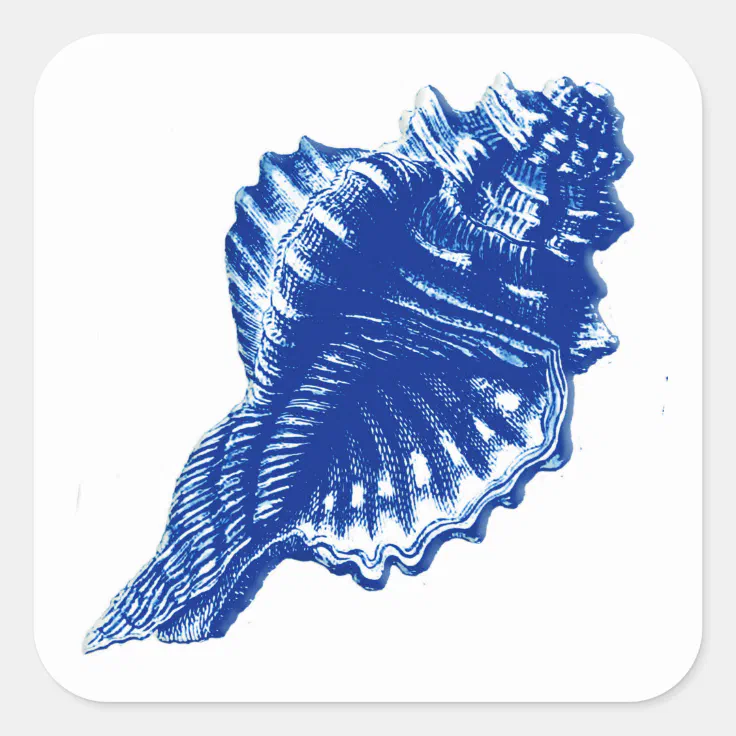 Conch Shell, Indigo Blue and White Square Sticker | Zazzle