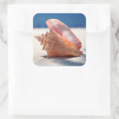 Conch Shell On Beach 2 Square Sticker | Zazzle