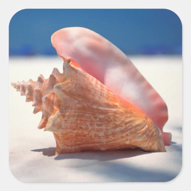 Conch Shell On Beach 2 Square Sticker | Zazzle