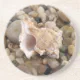 Conch Shell on Pebbles Drink Coaster | Zazzle