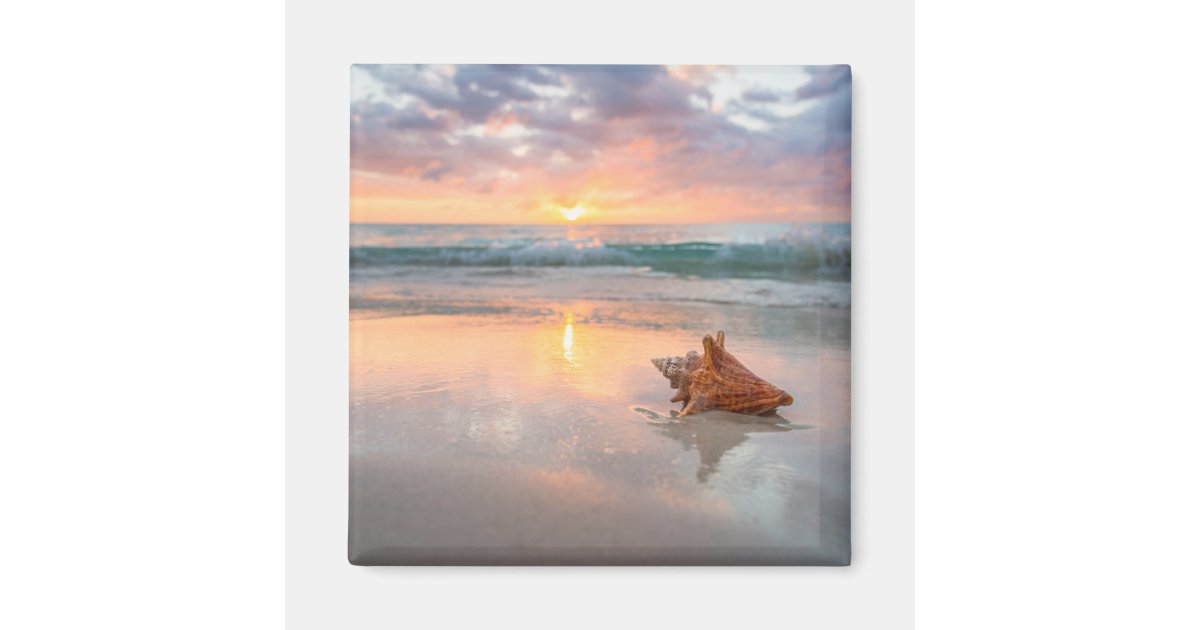Conch Shell on the Beach | Jamaica Magnet | Zazzle