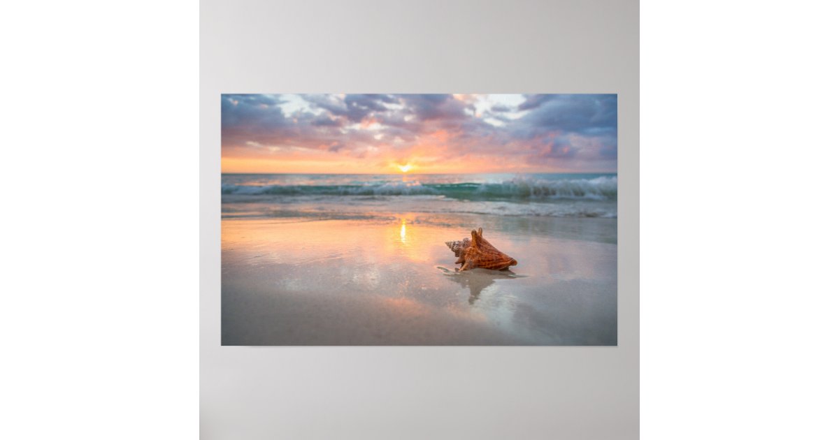 Conch Shell on the Beach | Jamaica Poster | Zazzle