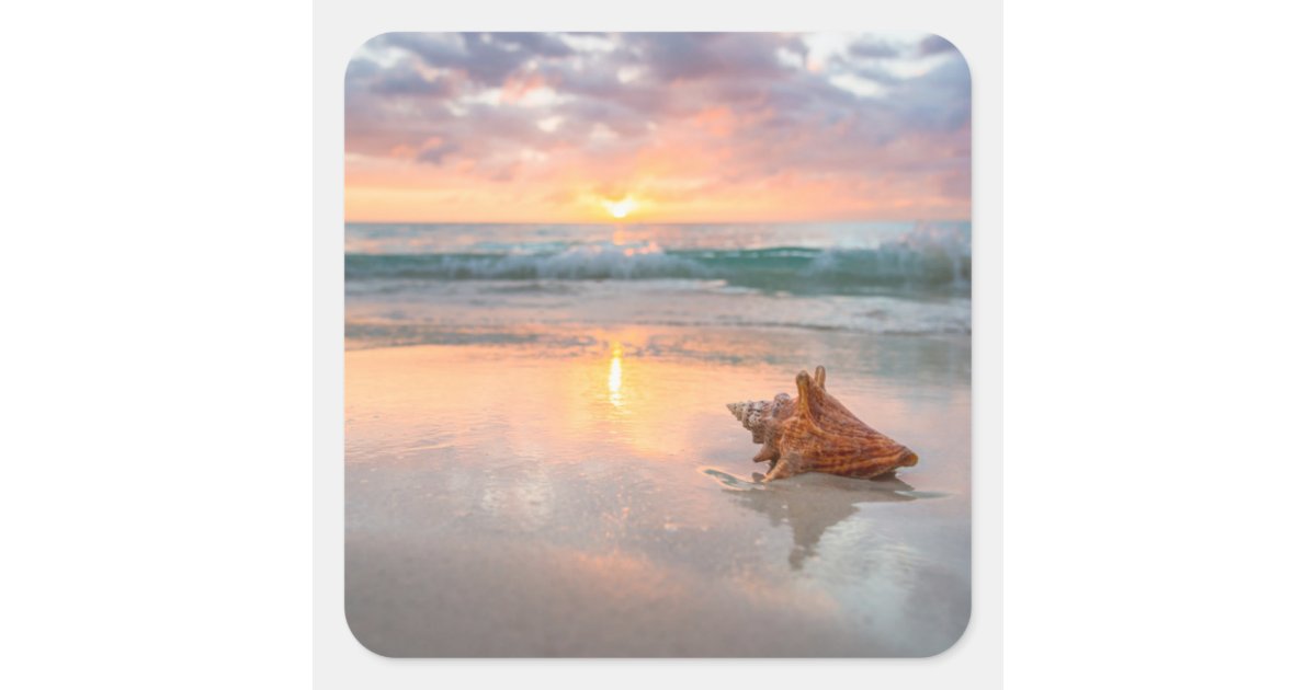 Conch Shell on the Beach | Jamaica Square Sticker | Zazzle