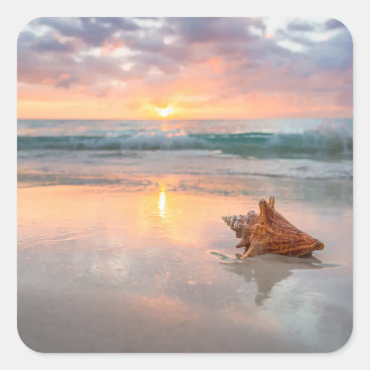 Conch Shell on the Beach | Jamaica Square Sticker | Zazzle