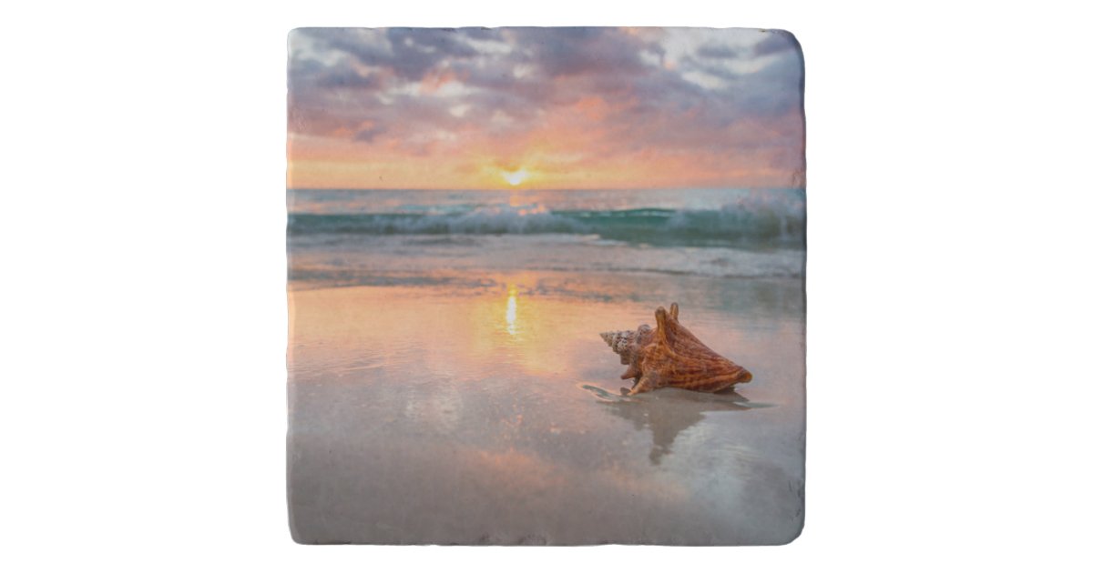 Conch Shell on the Beach | Jamaica Trivet | Zazzle