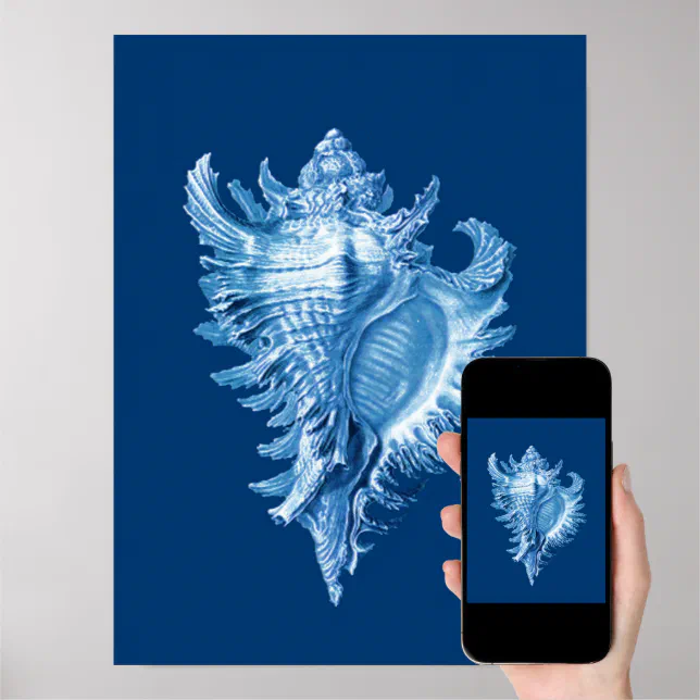 Conch Shell Sea Life Print, Indigo Blue and White Poster | Zazzle