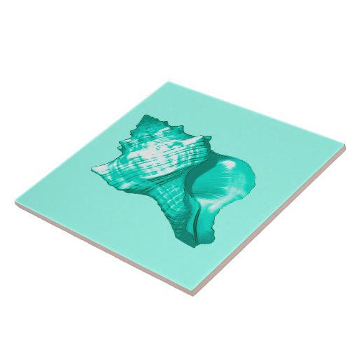 Conch shell sketch - turquoise, white and aqua tile | Zazzle