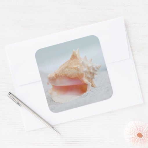 Conch Shell Square Sticker | Zazzle