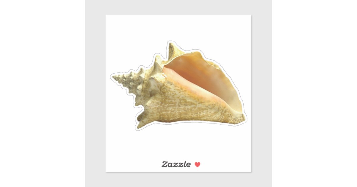 Conch Shell Sticker | Zazzle