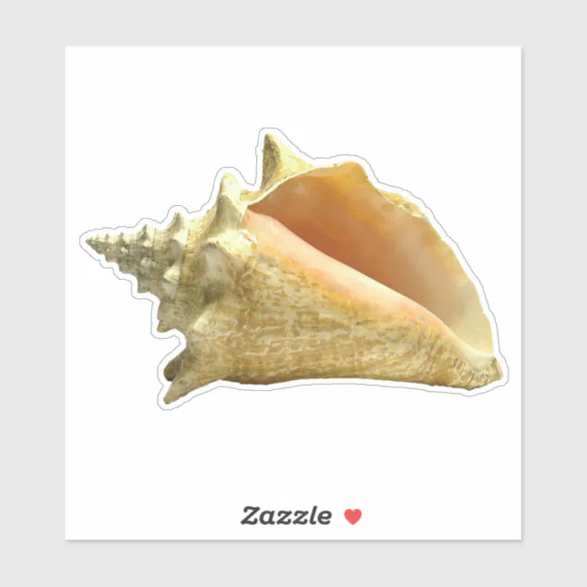 Conch Shell Sticker | Zazzle