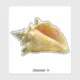 Conch Shell Sticker | Zazzle