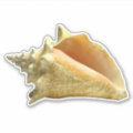 Conch Shell Sticker | Zazzle