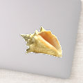 Conch Shell Sticker | Zazzle