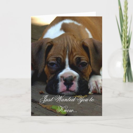 Condolences Boxer puppy greeting card | Zazzle