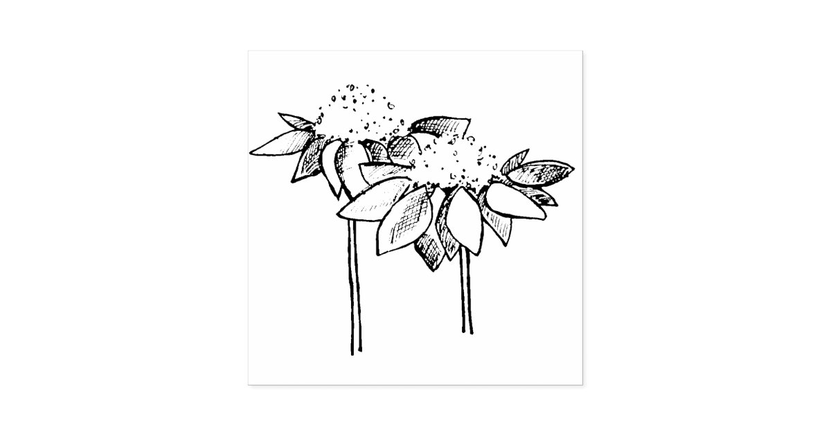 Coneflower Line Drawing Rubber Stamp | Zazzle