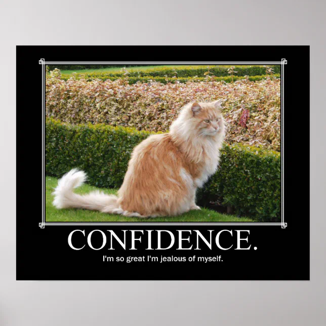 Confidence Cat Artwork Funny Poster | Zazzle